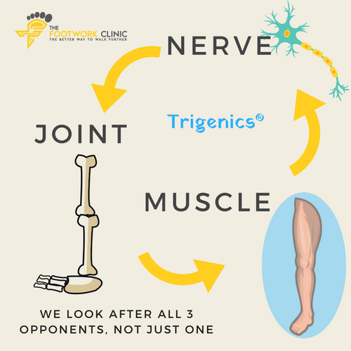 Trigenics: A Three-strain, Holistic Treatment Approach